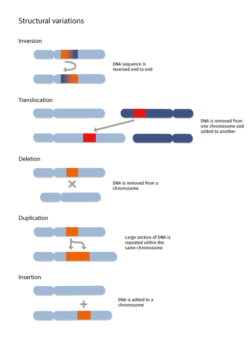 Charles Lee, Ph.D., DSc., FACMG - Science